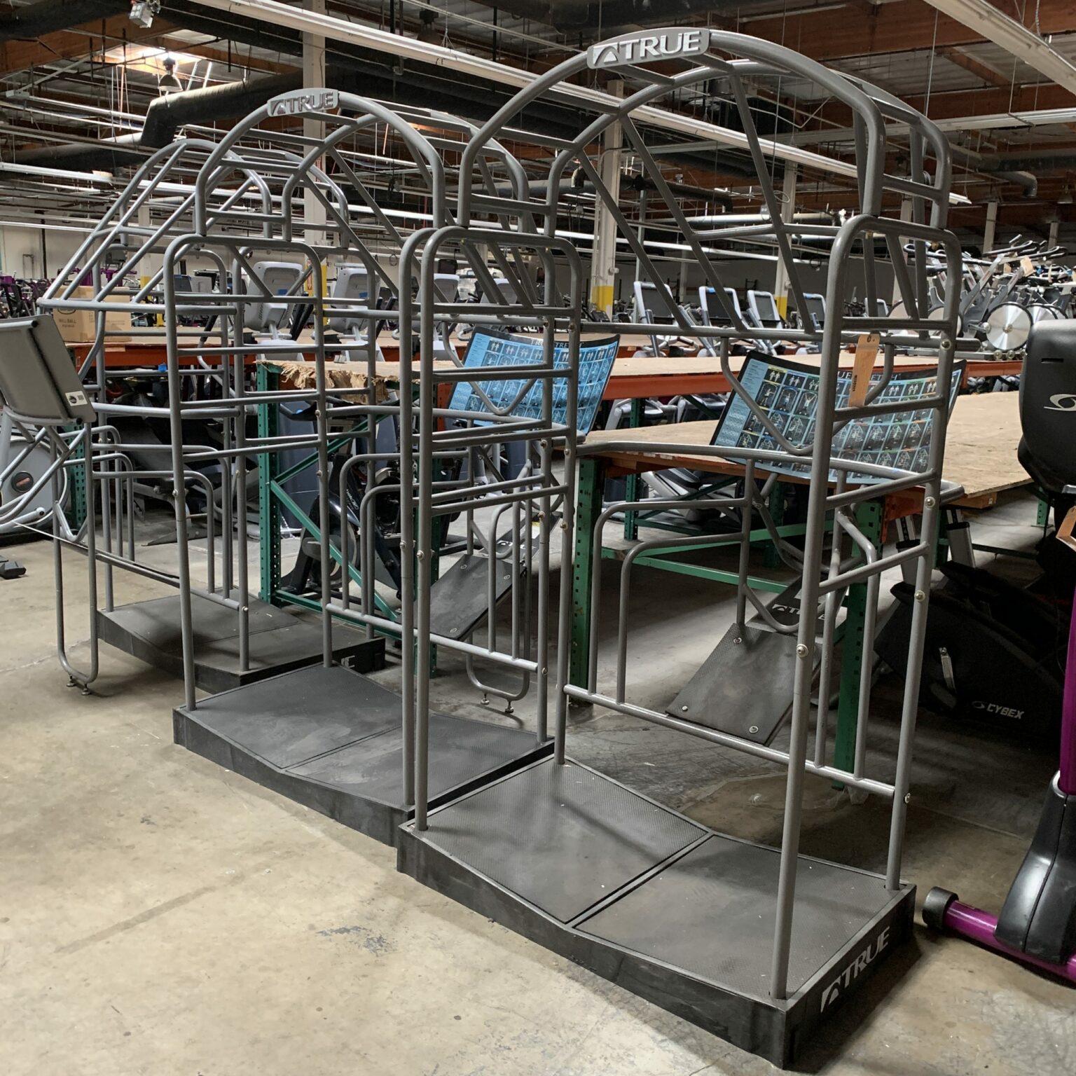 TRUE Stretch Cage | True Fitness Equipment Stretching Cage