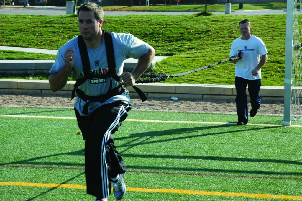 Fitness Workhorse Harness - Primo Fitness