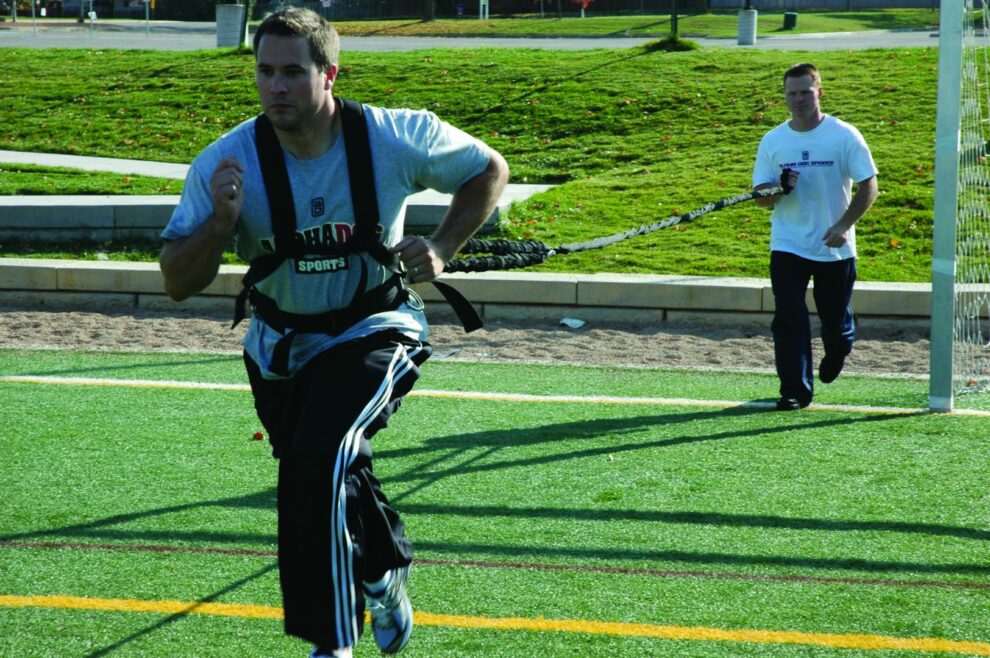 Fitness Workhorse Harness - Primo Fitness