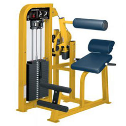 11 Best Gym Equipment For Muscle Building - Primo Fitness